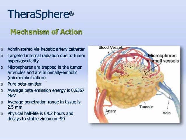 Primer on interventional radiology