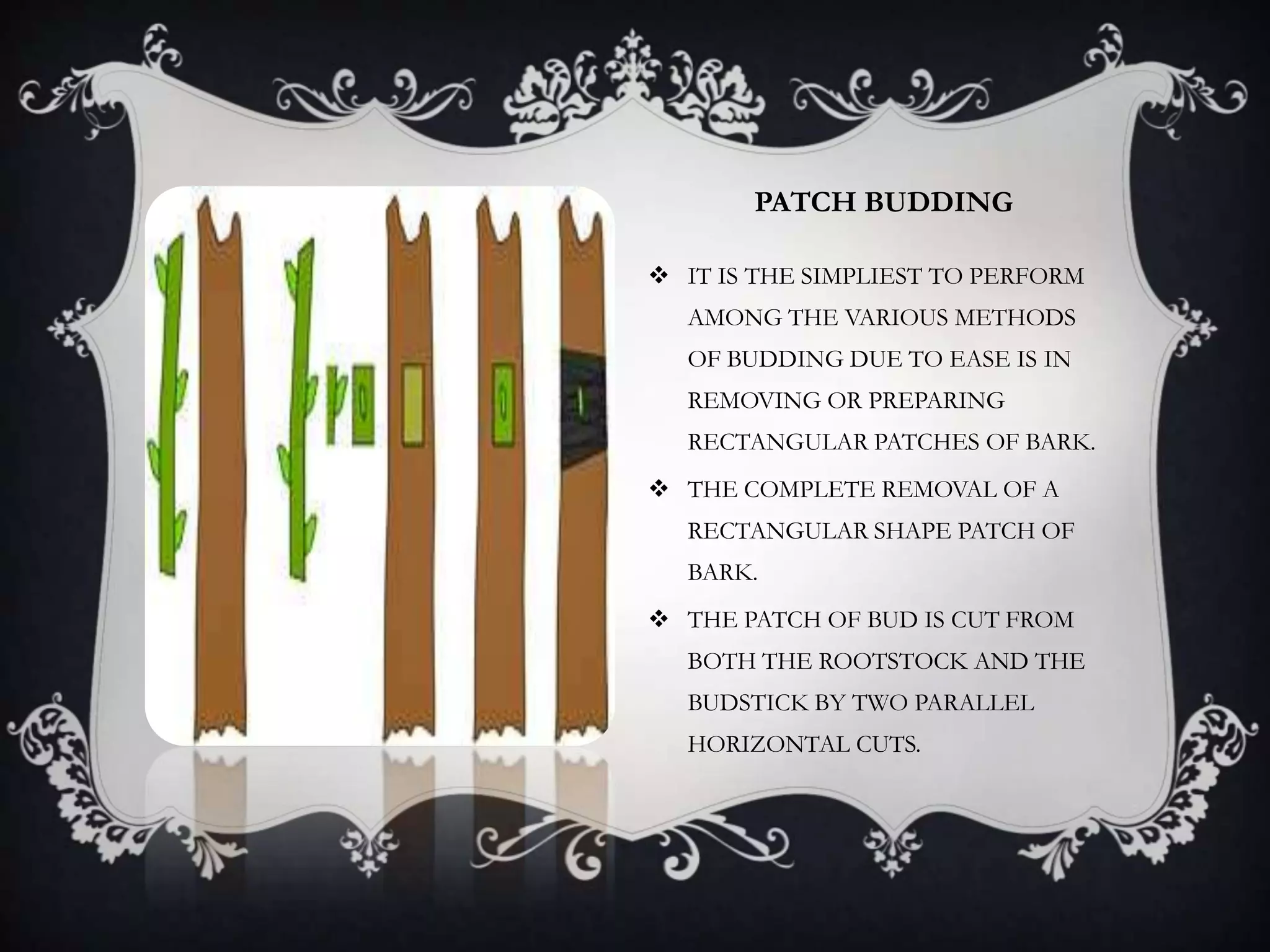 TYPES OF BUDDING | PPTX