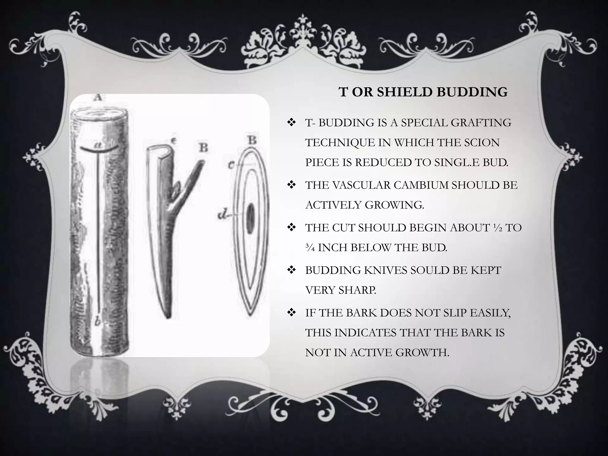 TYPES OF BUDDING | PPTX