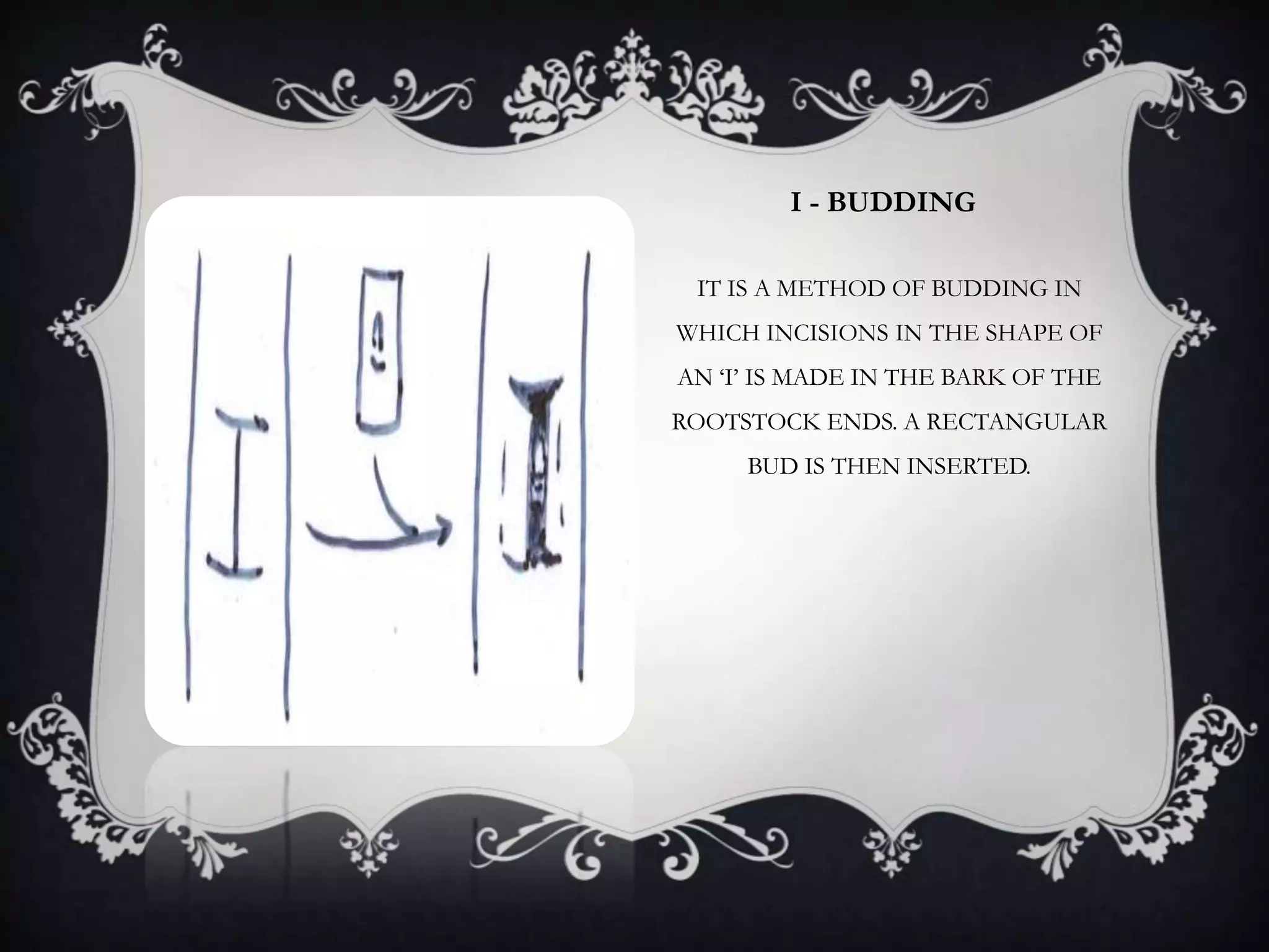 TYPES OF BUDDING | PPTX