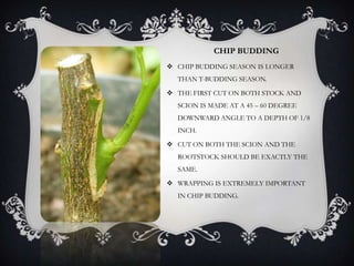 TYPES OF BUDDING | PPTX