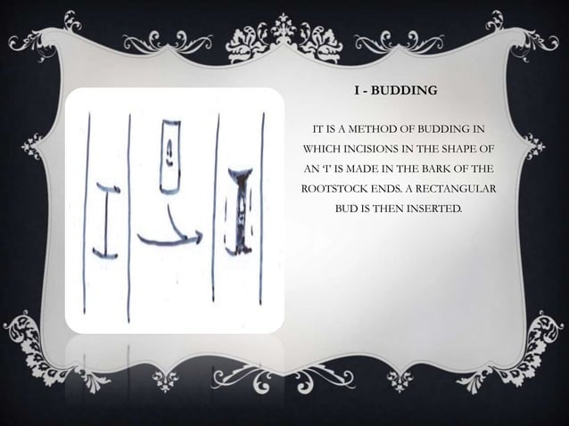 TYPES OF BUDDING | PPTX