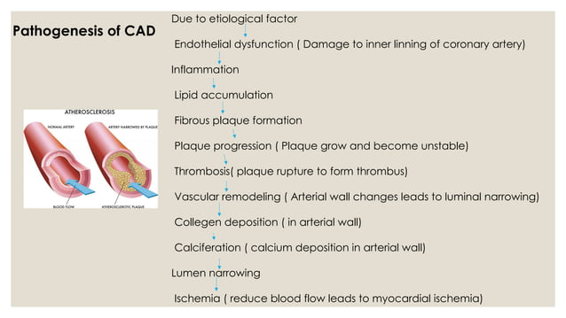 Hridya Rog (cardiac disorder, function).pptx