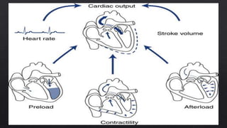 Cardiac Output: factors regulating it. | PPTX