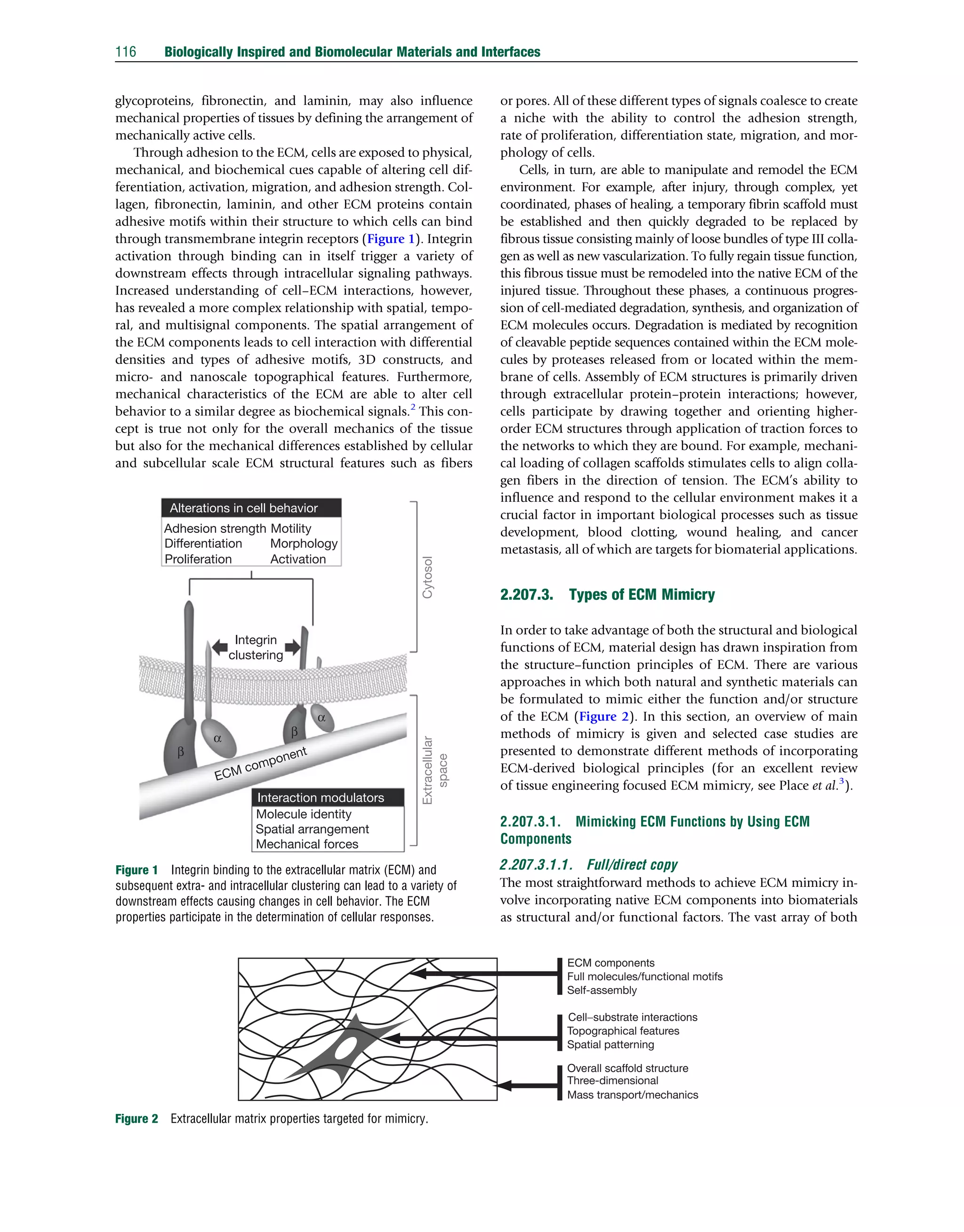 Excellent extracellular matrix_inspired_biomaterials | PDF