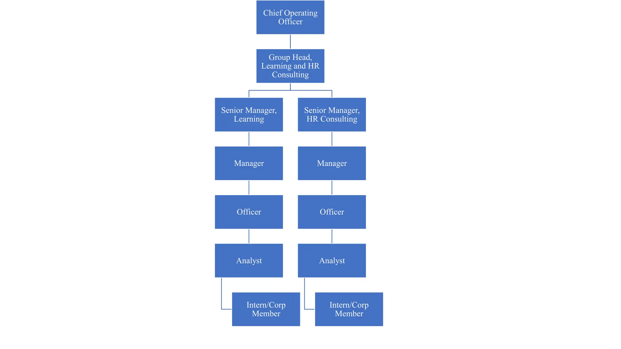 HR & Learning division organogram.pptx | Human Resources | Business