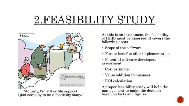 Steps Of Implementation Of Hris Ppt