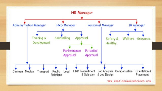 Human Resource Management Techniques | PPT