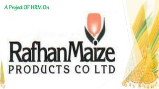 Rafhan Maize HRM Human Resource Management Department Analysis | PPTX