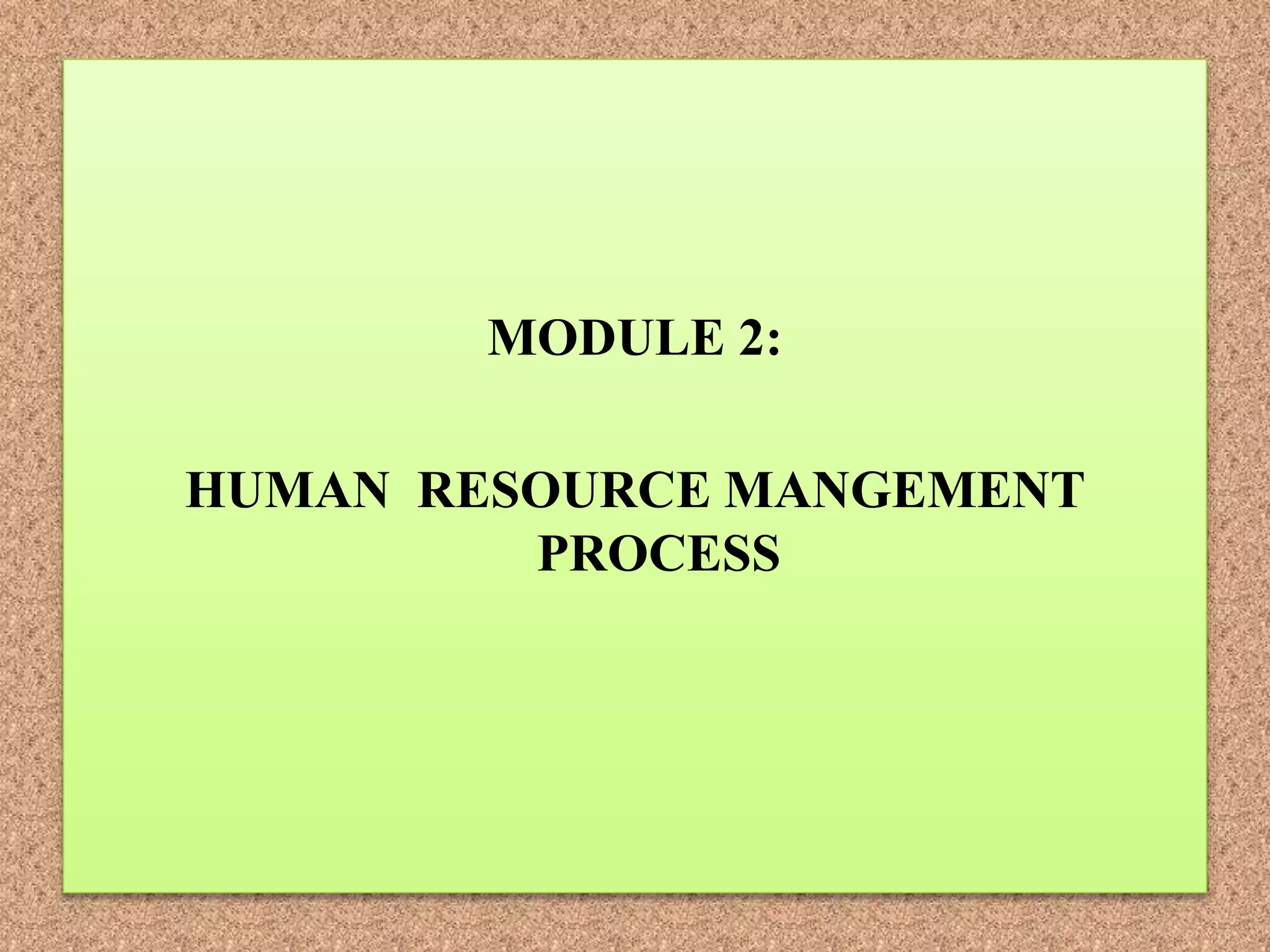Human Resource Management Process | PPTX