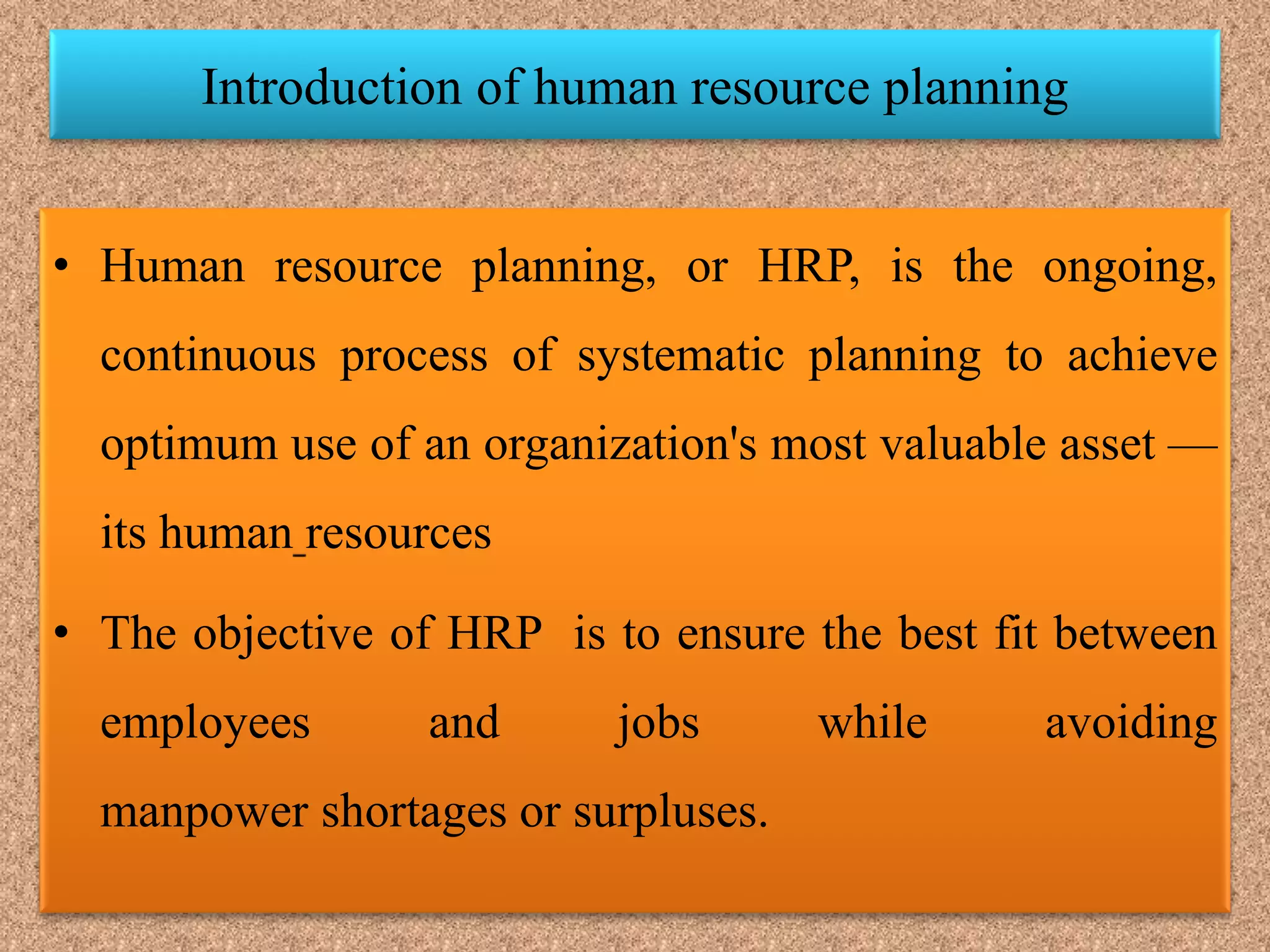 Human Resource Management Process | PPTX