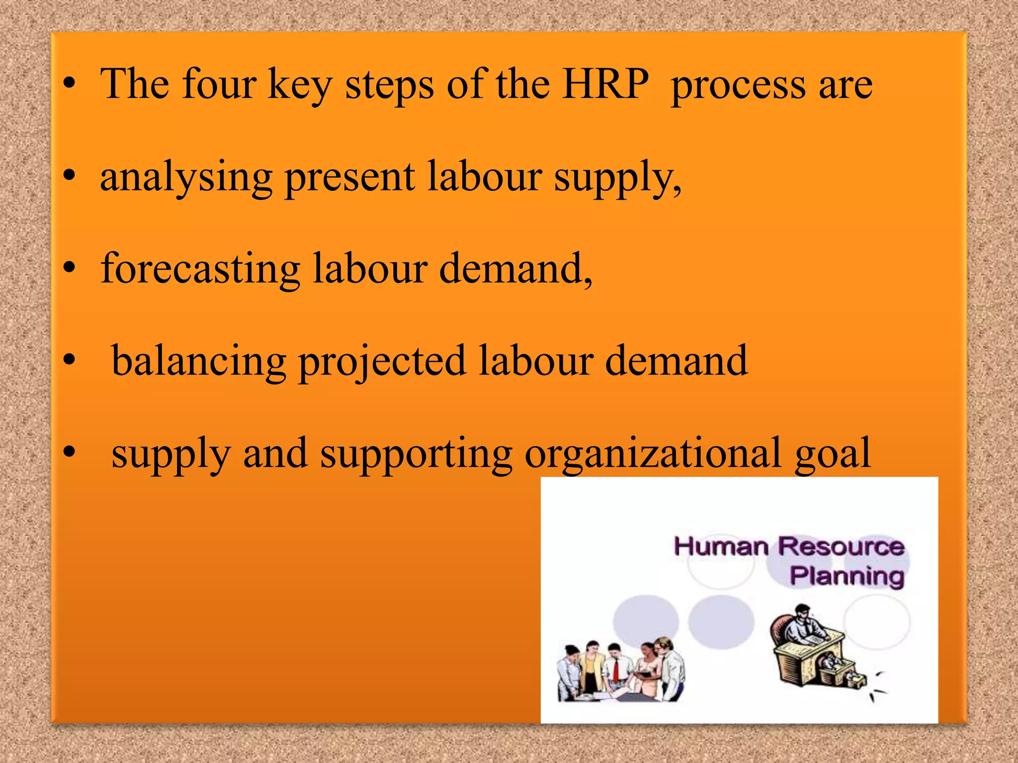 Human Resource Management Process | PPTX