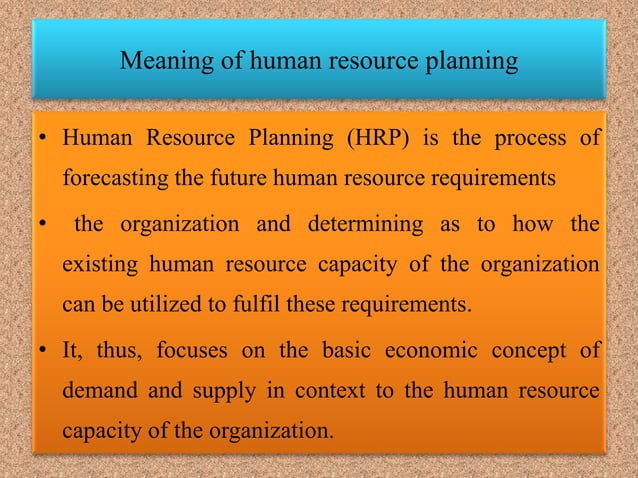 Human Resource Management Process | PPTX