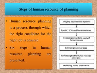 Human Resource Management Process | PPTX
