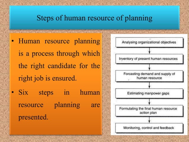 Human Resource Management Process | PPTX