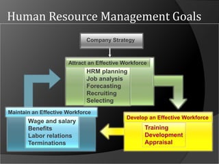 Elements of Human Resource Management.pptx