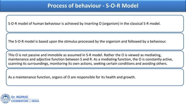 Human Behaviour Process | PPT