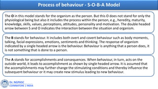 Human Behaviour Process | PPT