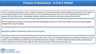 Human Behaviour Process | PPT
