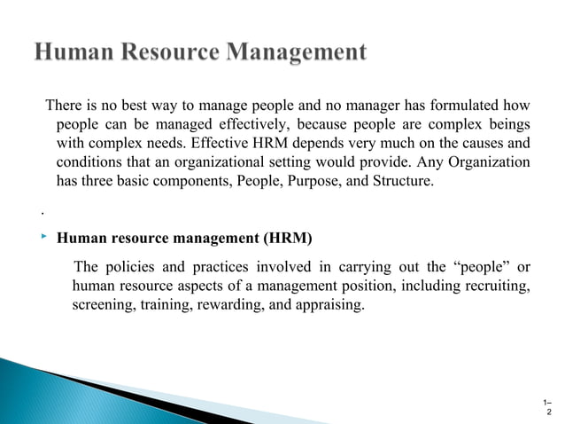 HRM 301-The Strategic Role of HRM......PPT