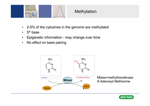 Introduction to High Resolution Melt Analysis | PDF | Blood Disorders | Diseases and Conditions