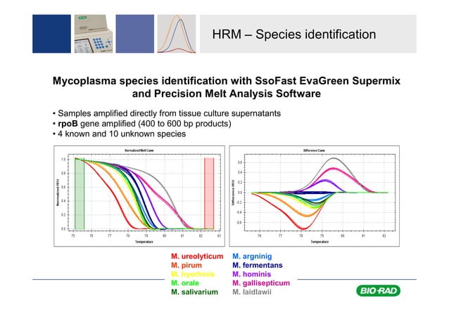 Introduction to High Resolution Melt Analysis | PDF | Blood Disorders | Diseases and Conditions