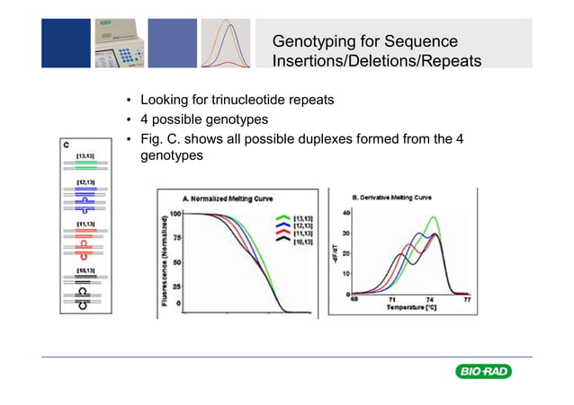 Introduction to High Resolution Melt Analysis | PDF | Blood Disorders ...