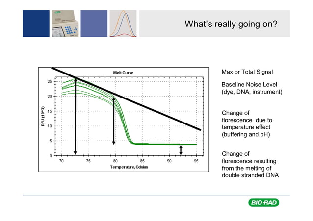 Introduction to High Resolution Melt Analysis | PDF | Blood Disorders | Diseases and Conditions