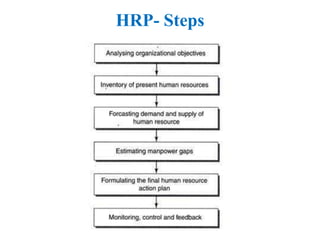 human resource management selection process | PDF