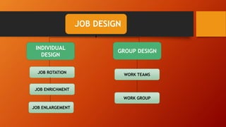 FUNCTION OF HUMAN RESOURCE MANAGEMENT IN ORGANIZATION INFORMATION | PPTX