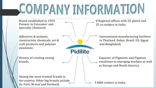 Pidilite Industries | PPTX