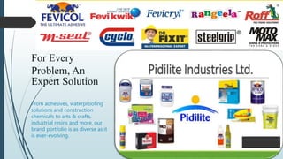 Pidilite Industries | PPTX