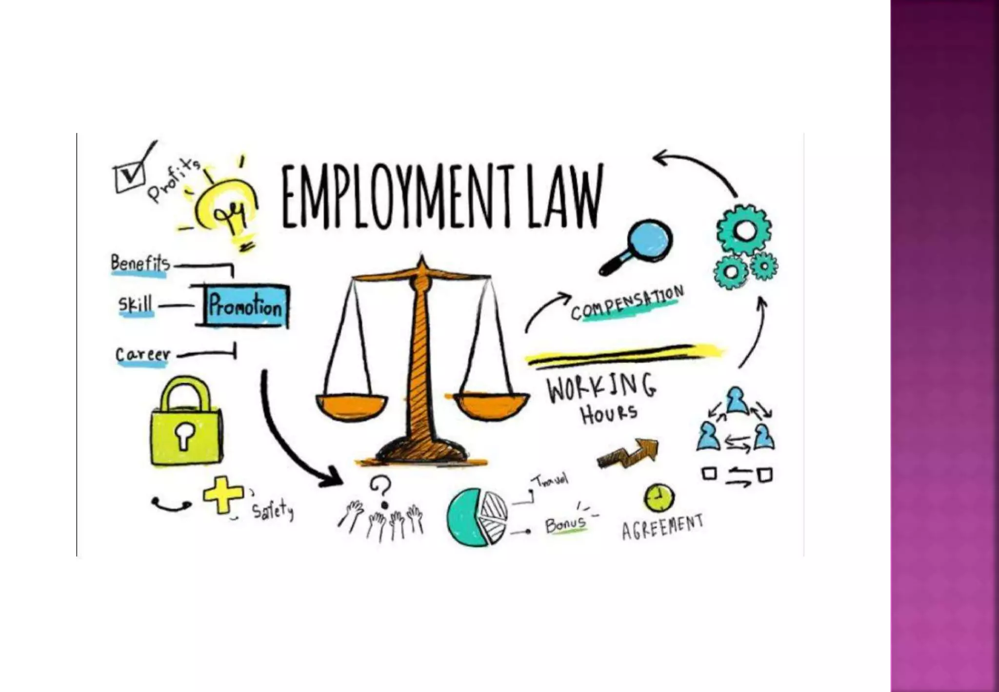 hrm Law and Responsibility of HR.pptx