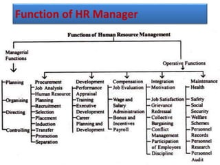 functions and structure of human resource | PPTX