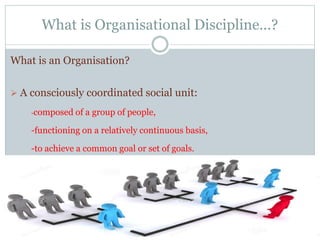 DISCIPLINE IN ORGANIZATION & STRESS MANAGEMENT | PPTX