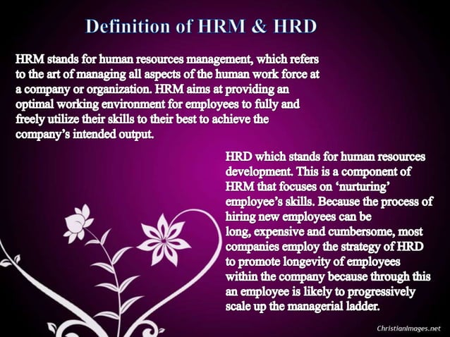 Hrm presentation | PPTX