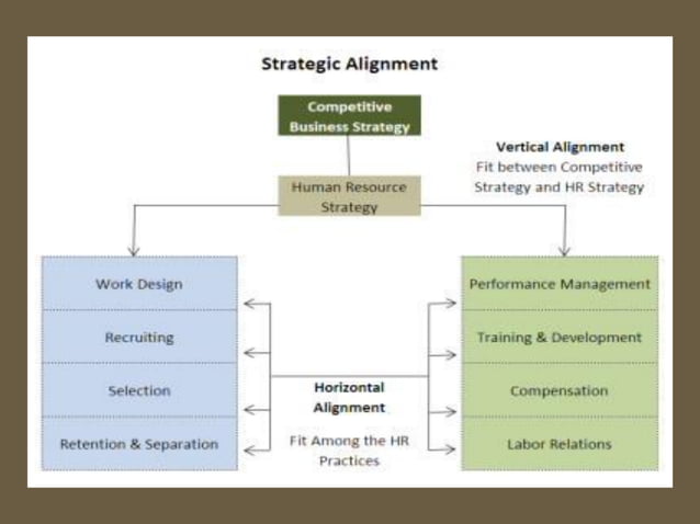 Human Resources Management (HRM) Value Chain Processes, Organizational ...