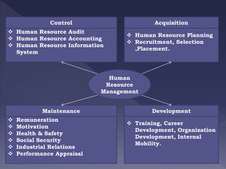 HRMS software presentation | PPTX