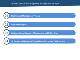Comprehensive Human Resource Management Strategy and Analysis for ...