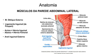 Hérnia inguinal aberta: tecnica operatória | PPTX
