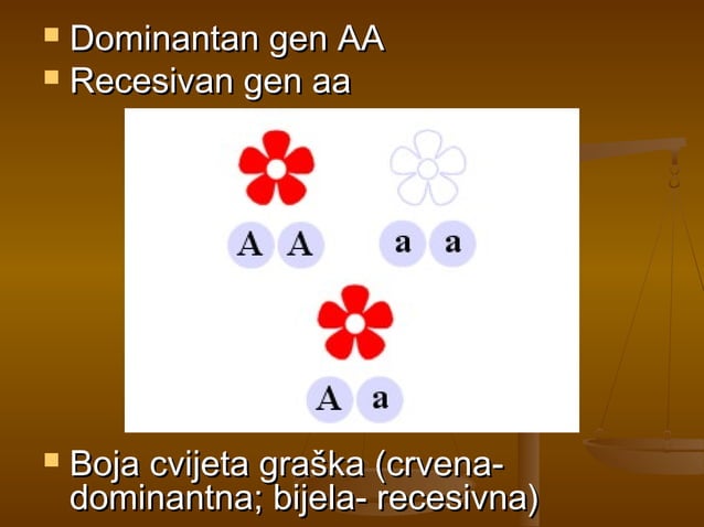 Hromosomi i geni i njihovo prenošenje od roditelja | PPT