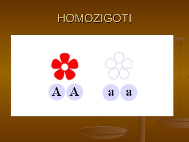 Hromosomi i geni i njihovo prenošenje od roditelja | PPT