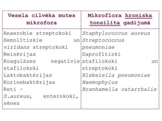Hronisks tonsilits (lor pulciņam) | PPT