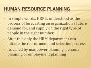 Hr planning and audit | PPT