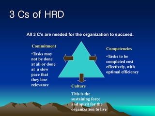 HR planning presentation.ppt