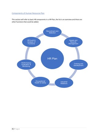 HR Plan Overview | PDF