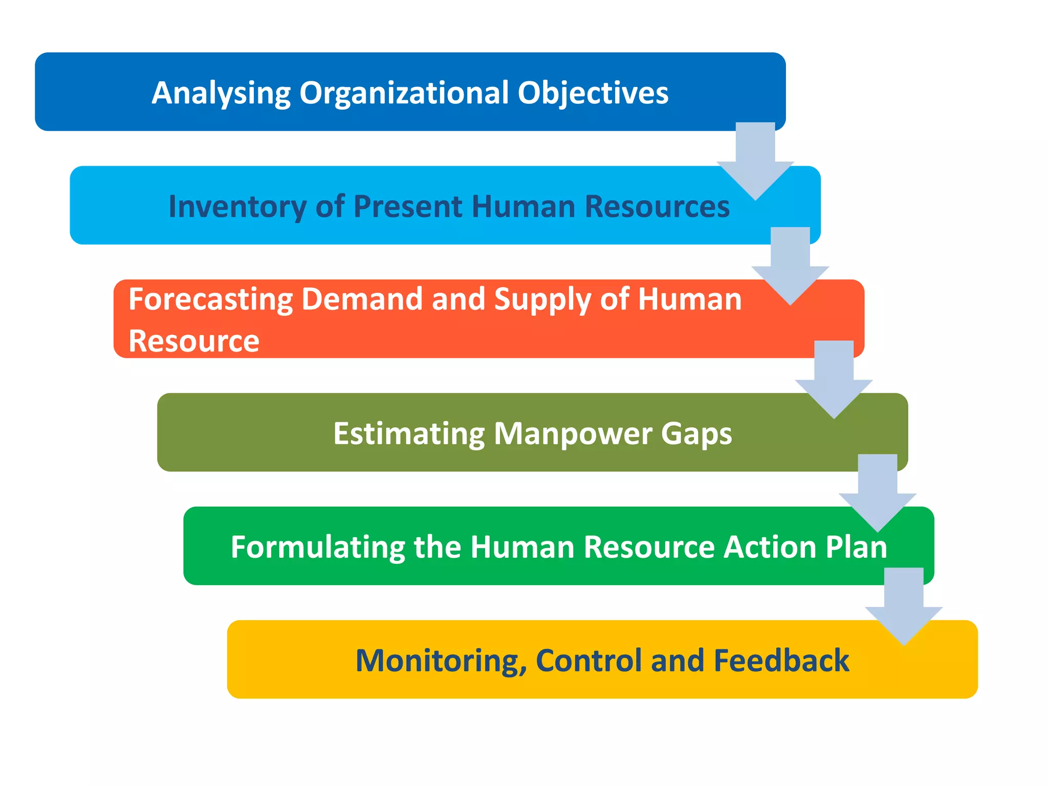 Human Resource Planning Process | PPTX