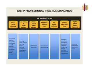 HR Professional Practice Standards Launch - Marius Meyer | PDF