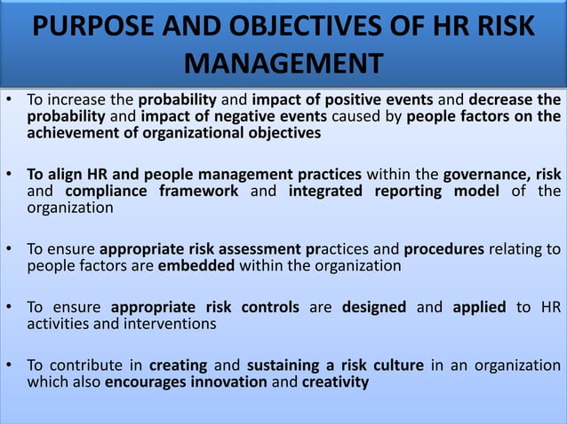HR Risk Management_HRM Auditing_Skills Auditing | PPTX | Human ...