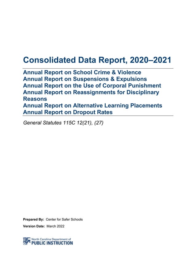 DPI Discipline Report | PDF